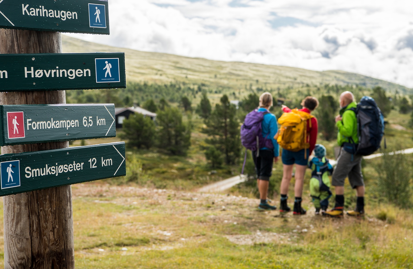 Fottur i Rondane | Discover Norway